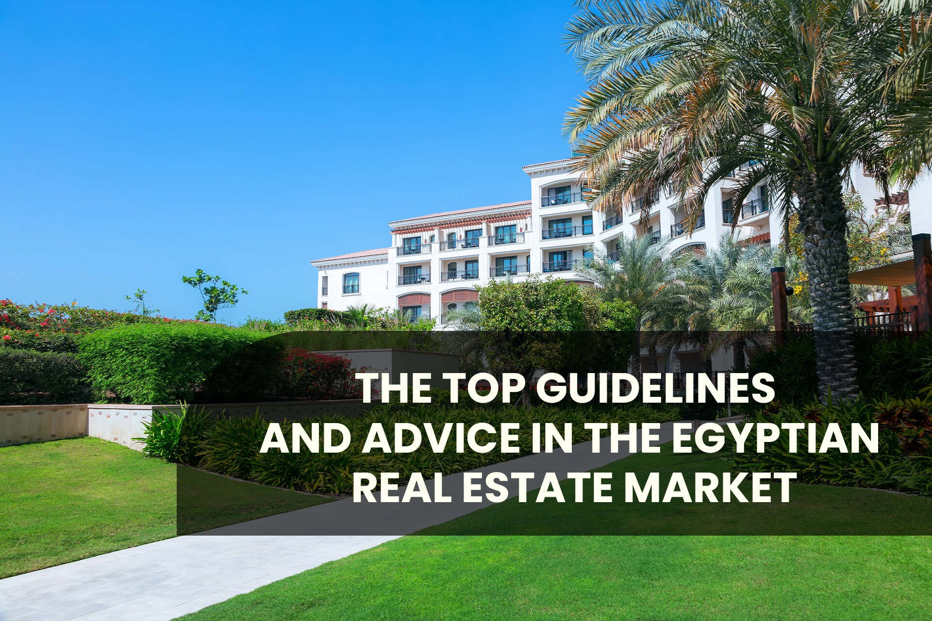 Guidelines in the Egyptian real estate market 2025